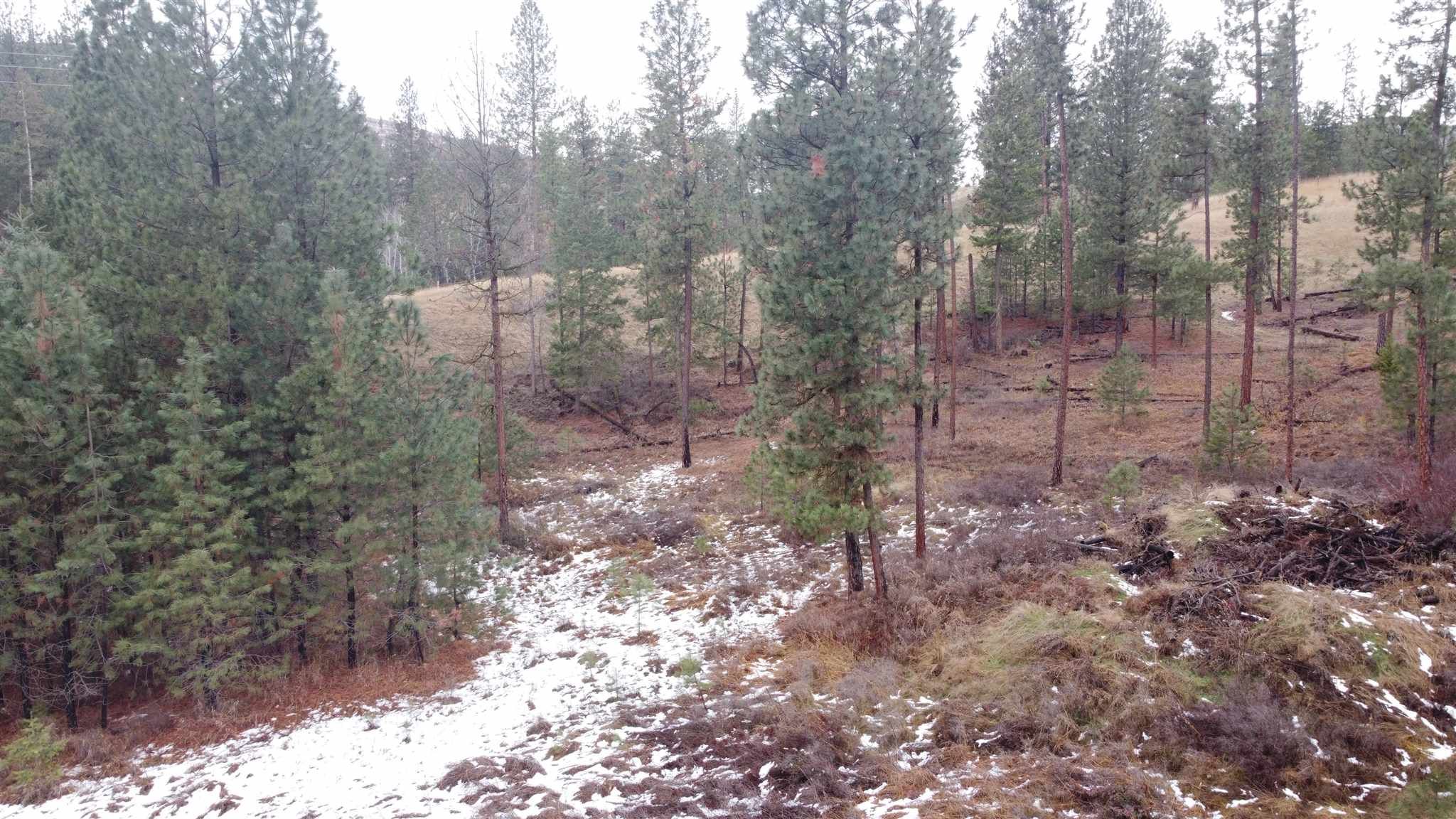 5 acres in Stevens County, Washington