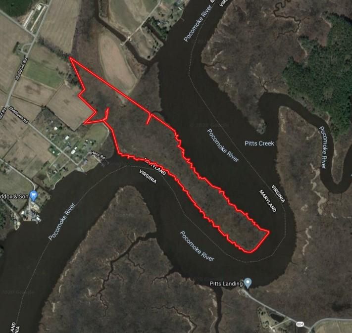 Shelltown Road, Shelltown, MD 21838 | Land.com