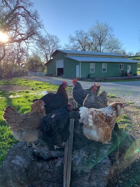 80.9 acres in Shasta County, California