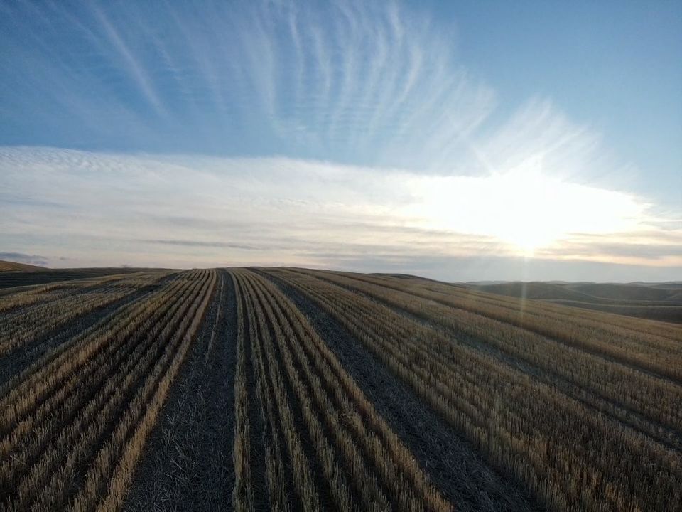 600 acres in Columbia County, Washington