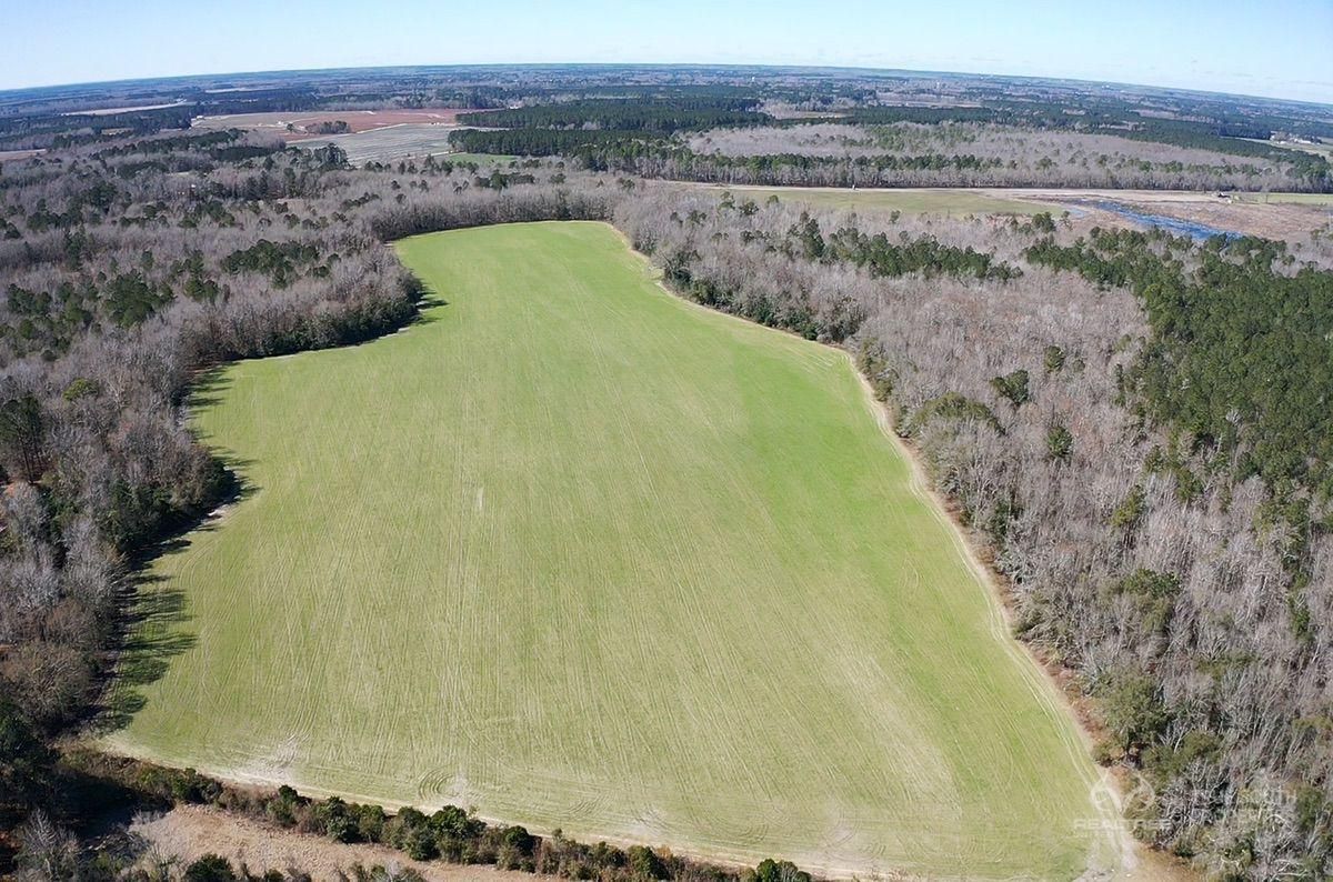 156.95 acres in Hampton County, South Carolina