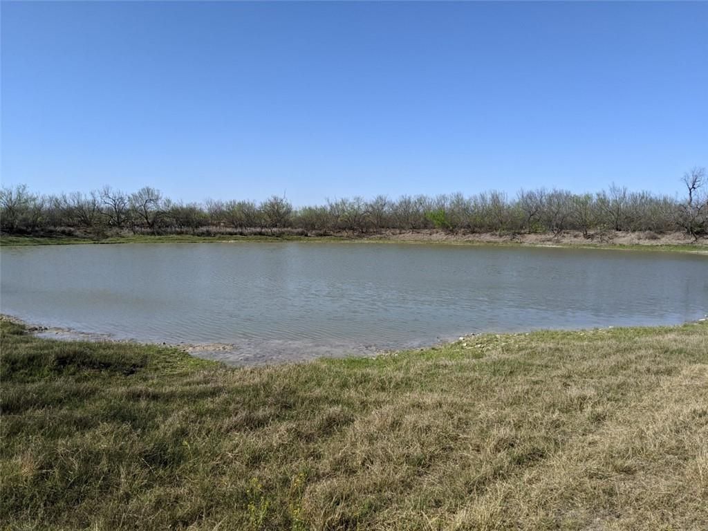 768.81 acres in Zavala County, Texas
