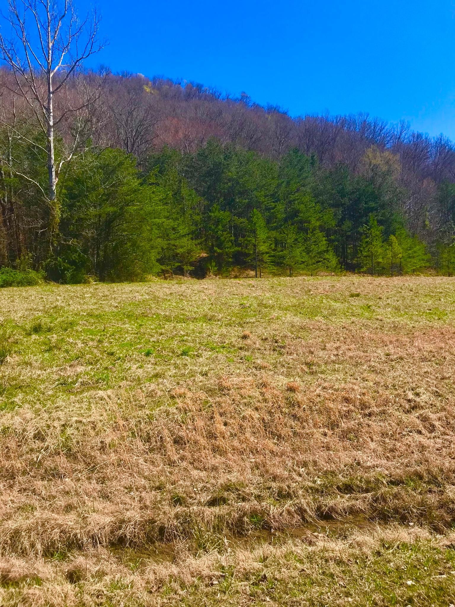 62 acres in Bath County, Kentucky