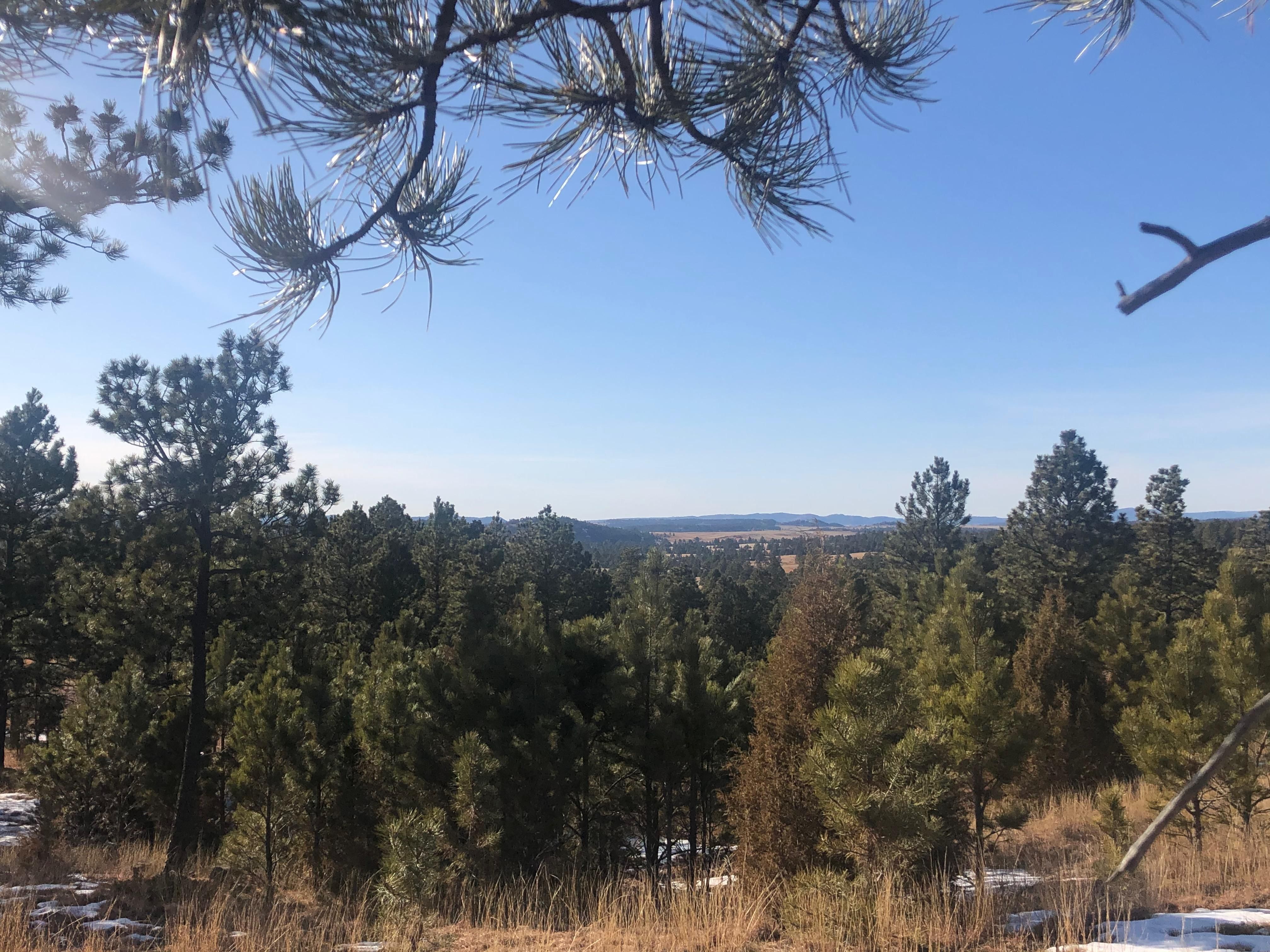 5 acres in Custer, SD, 57730 | MLS: 67664 | Land.com