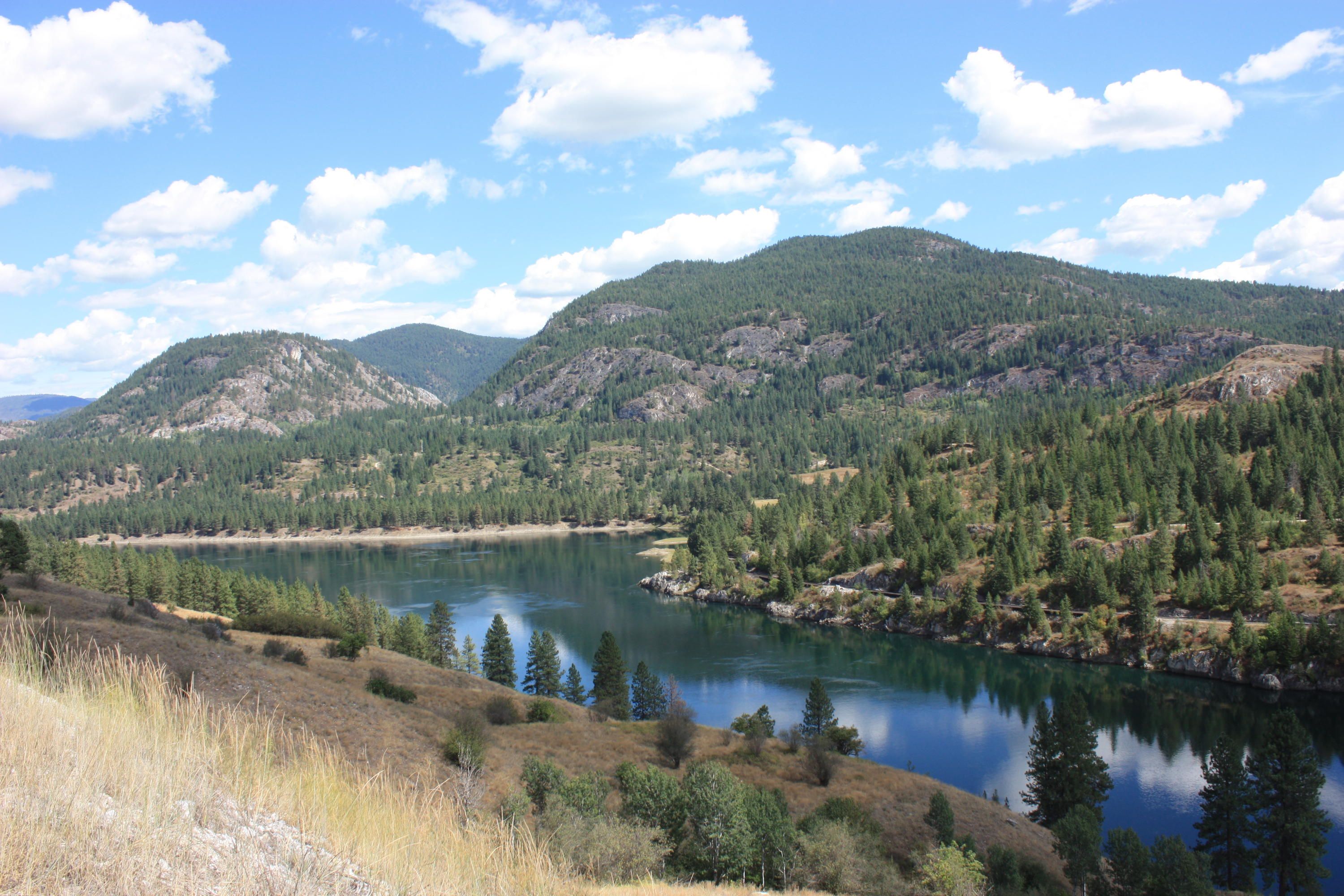 38.3 acres in Stevens County, Washington