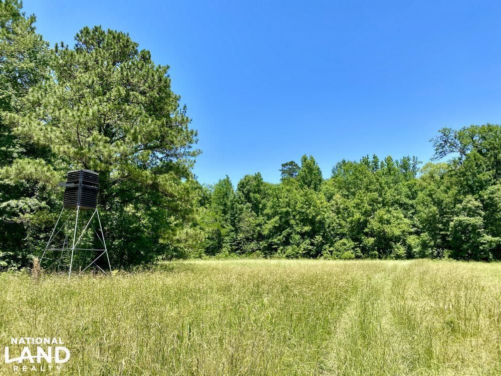 0 Hwy 82, Mathews, AL 36052 | Land.com