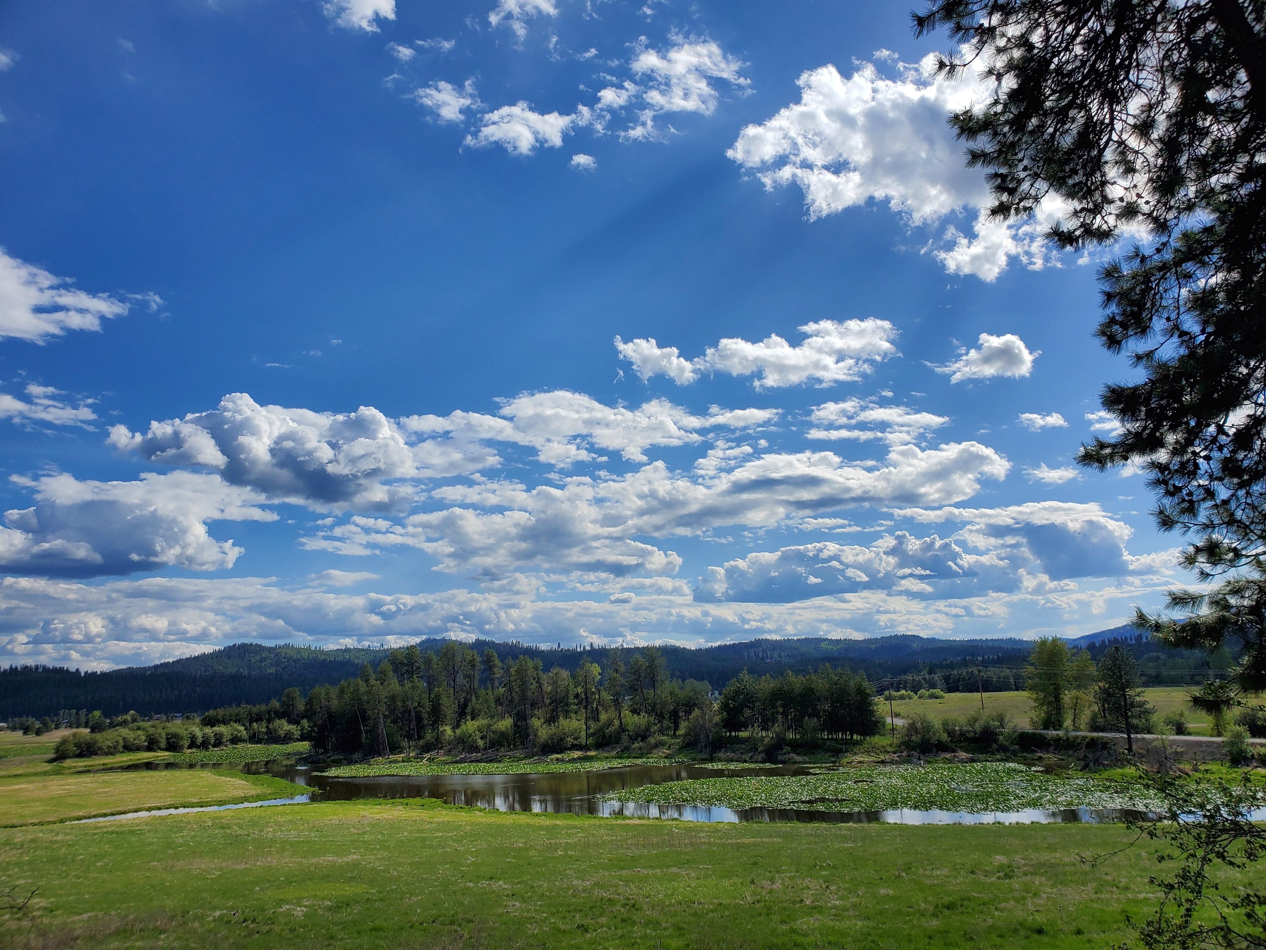 Leclerc Rd S, Usk, WA 99180 | Land.com