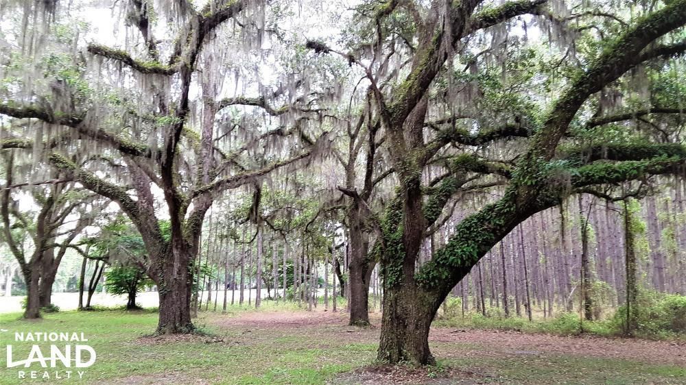 30 acres in Taylor County, Florida