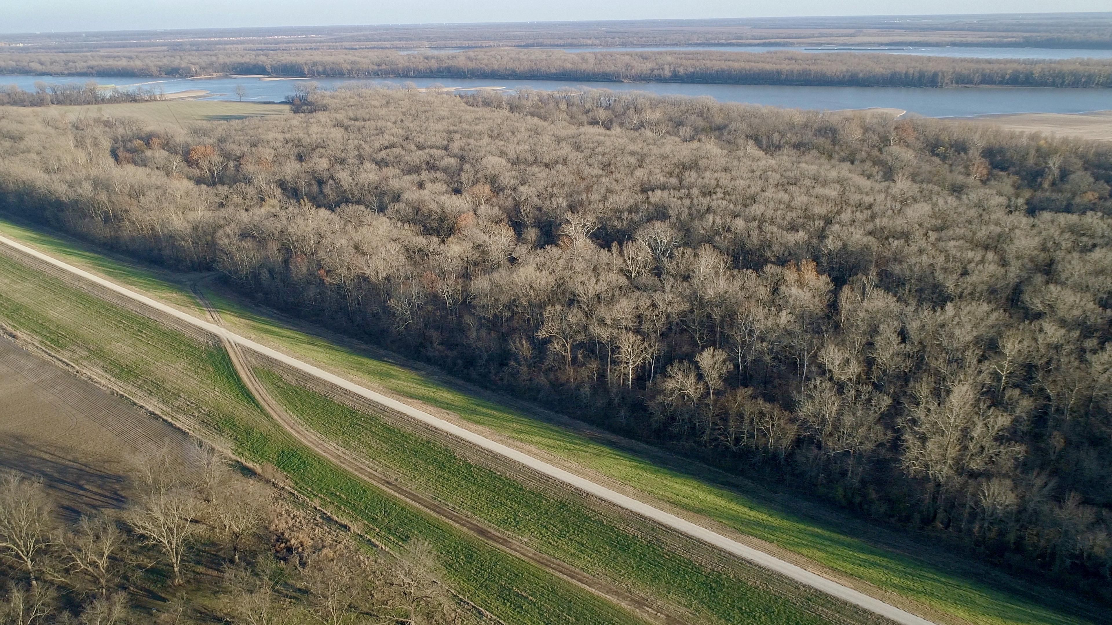 460 acres in Proctor, AR, 72376 | Land.com