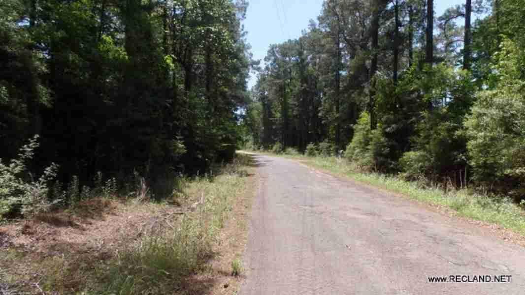 76.8 acres in Sabine Parish, Louisiana