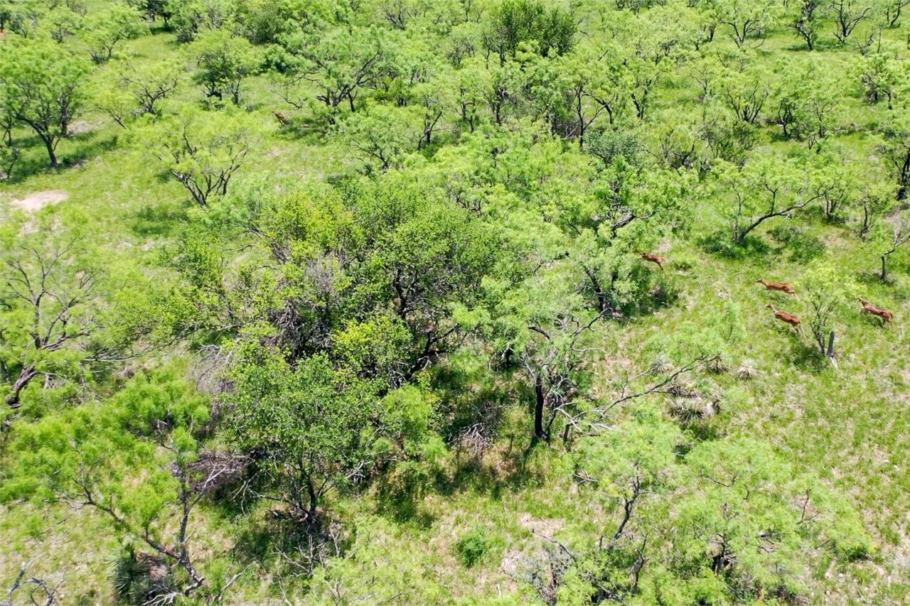 00 County Road 3477, Melvin, TX 76858 | Land.com