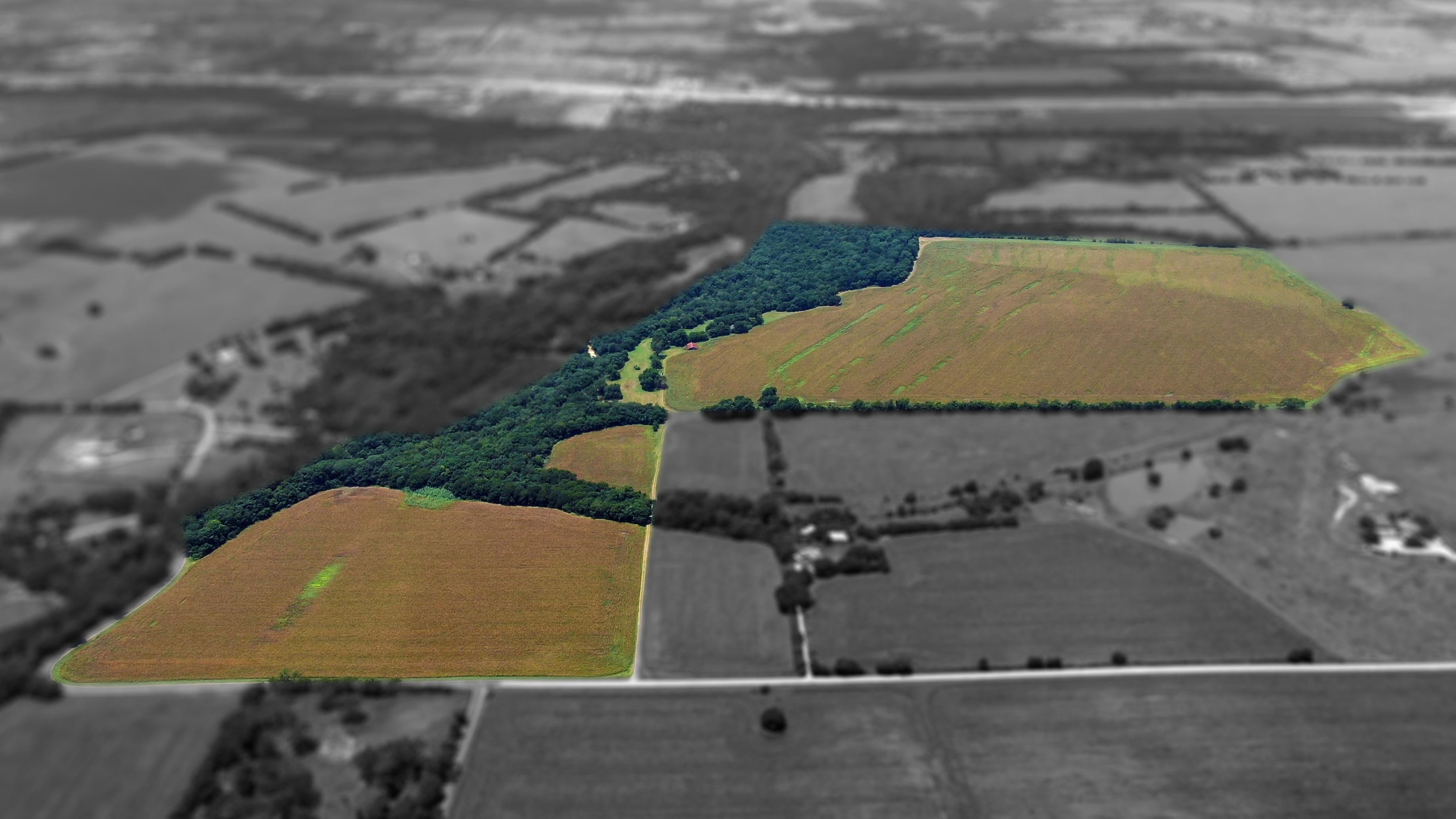 3159 East Big Elm Road, Troy, TX 76579 | MLS: 447329 | Land.com