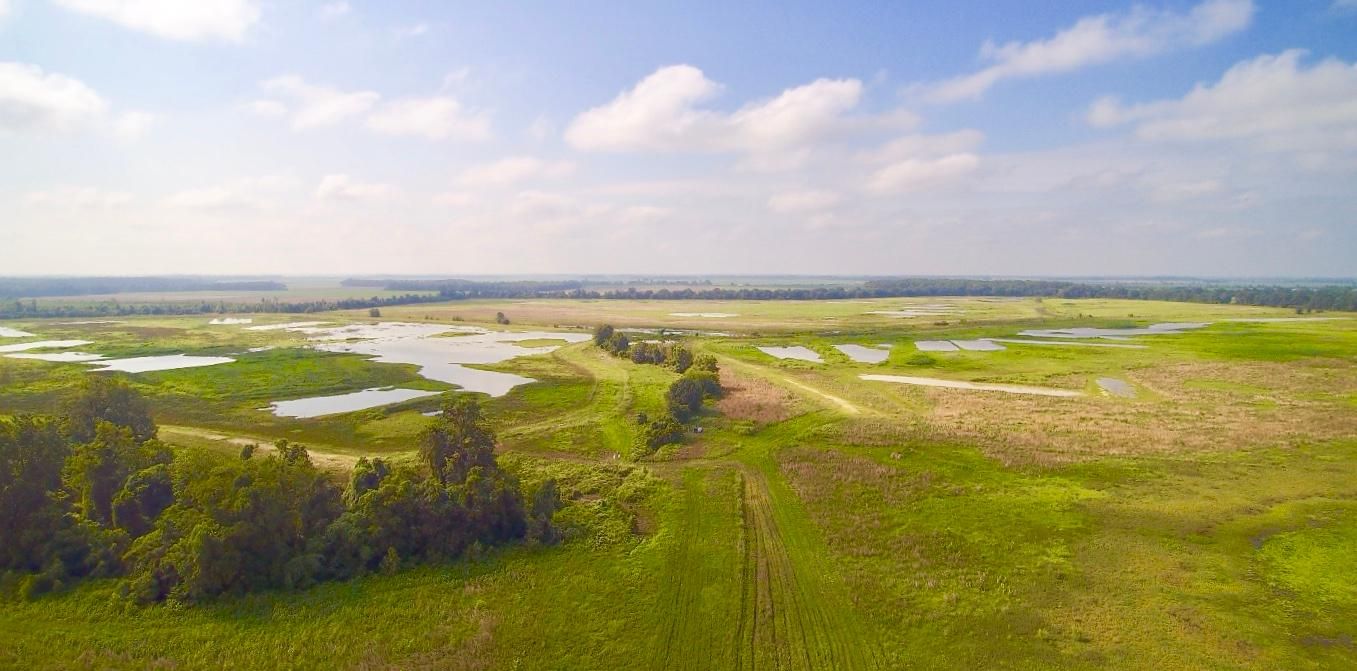 1,380 acres in Barton, AR, 72355 | Land.com