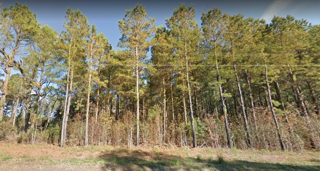 Sammy Swamp Rd, Pinewood, SC 29125 | Land.com