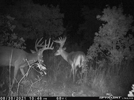 761 acres in Hughes County, Oklahoma