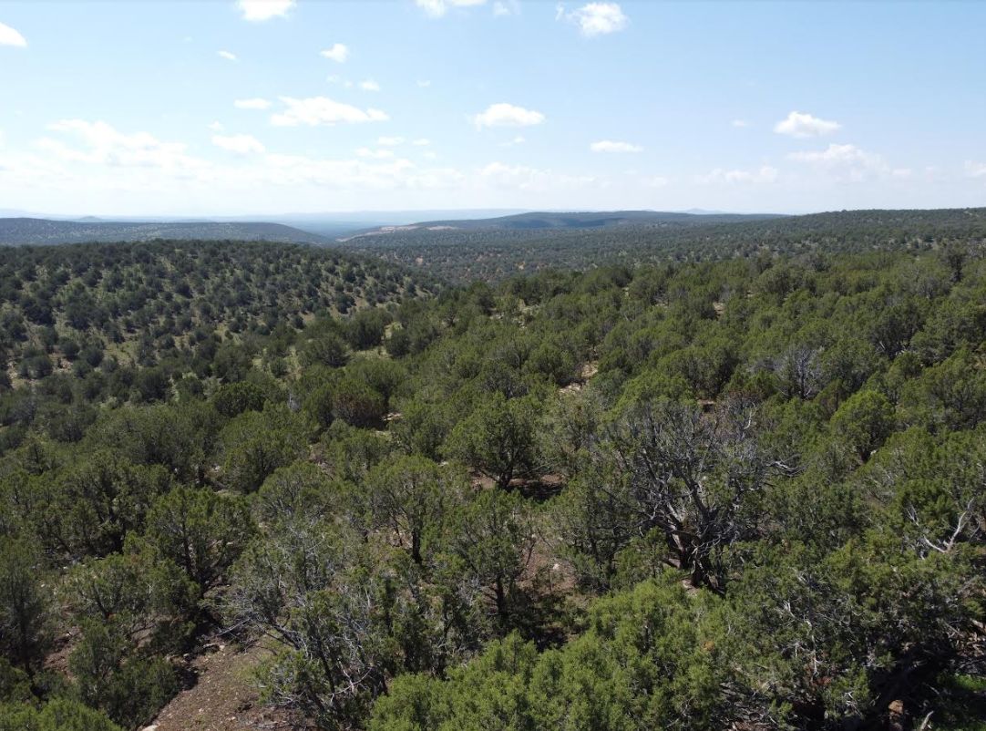 40.18 acres in Seligman, AZ, 86337 | Land.com
