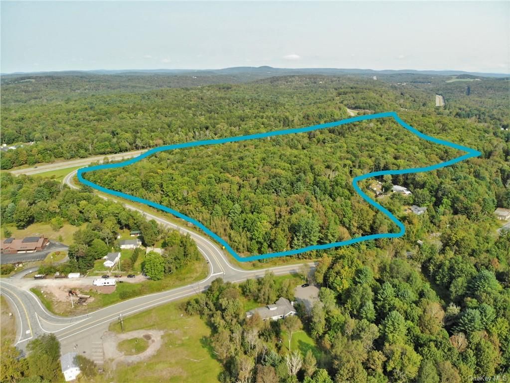 Rte 17, Harris, NY 12742 | MLS: 6324996 | Land.com