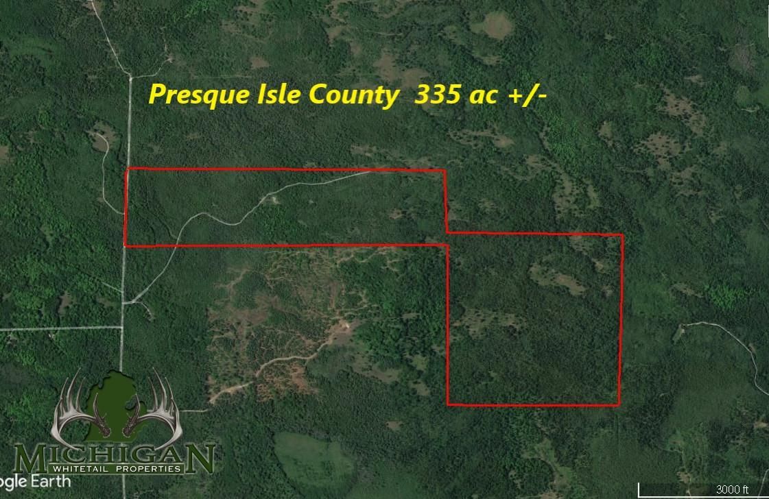335 acres in Presque Isle County, Michigan