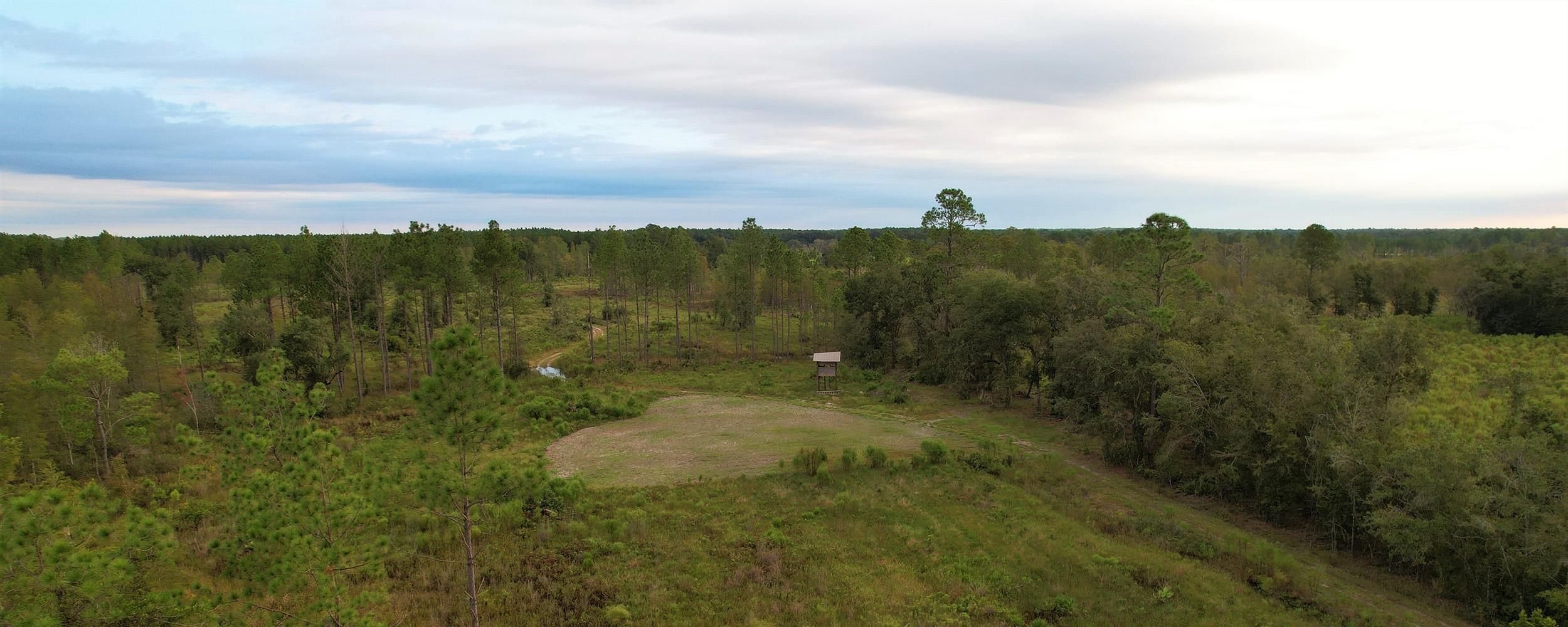 Cobb Road, Chiefland, FL 32626 | Land.com