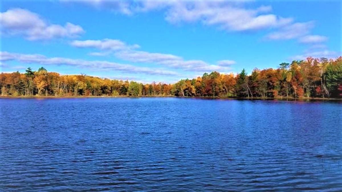 101 McNutt Lake Lane, Minocqua, WI 54548 | MLS: 10964637 | Land.com