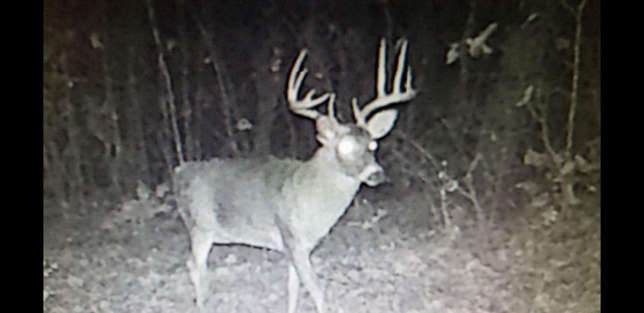 Berrytown Road, Lot#WP001, Elkton, VA 22827 | Land.com