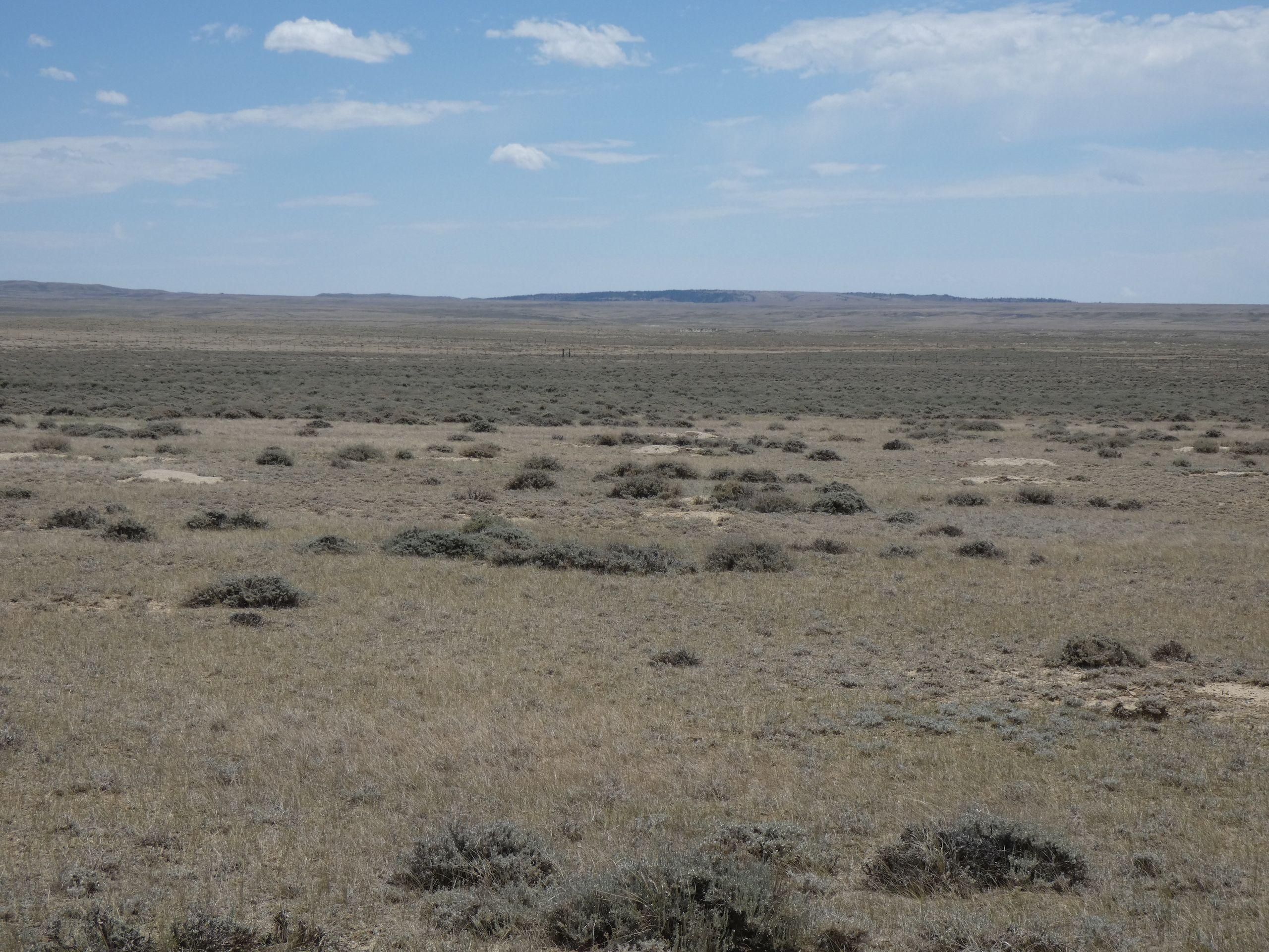 WYTEX Ranch TR 82, Lot #WP001, Medicine Bow, WY 82329 | Land.com