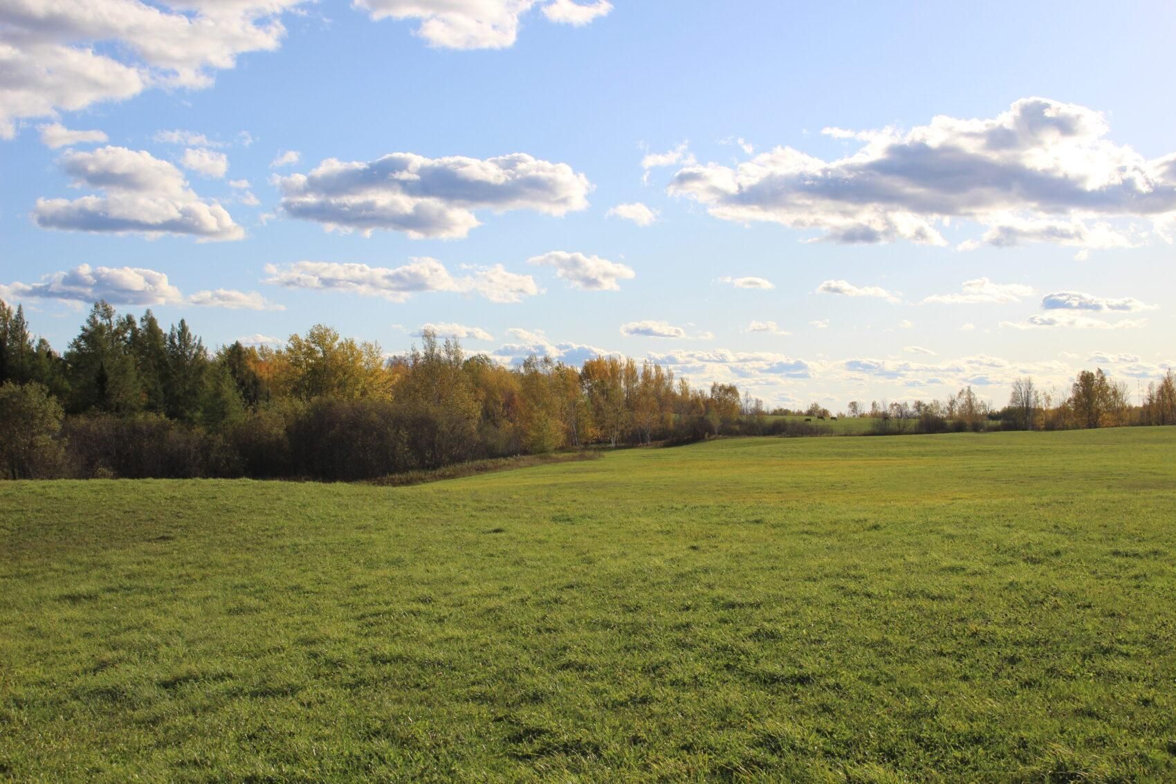 8.02 acres in Saint Louis County, Minnesota