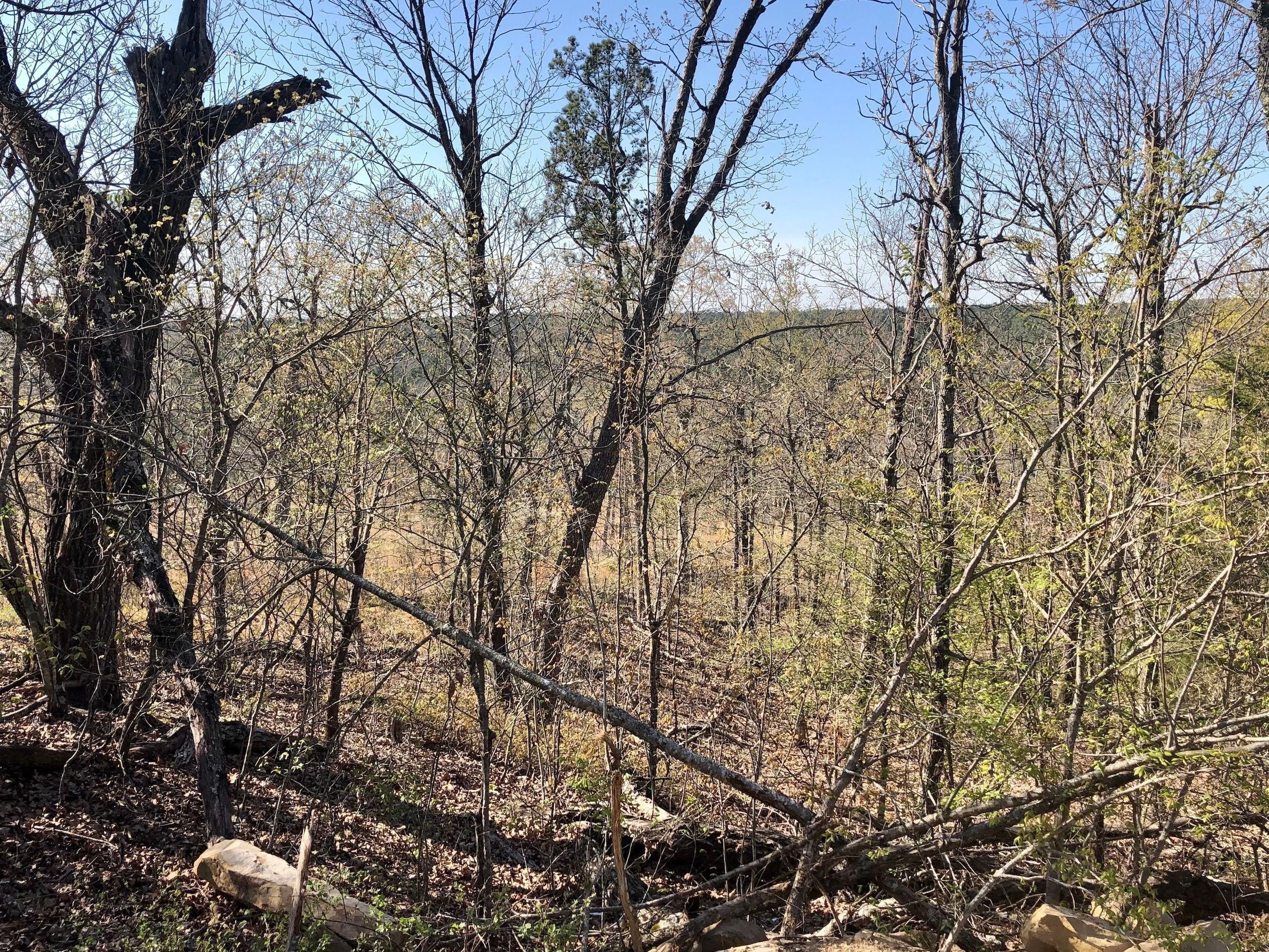 52 acres in Pushmataha County, Oklahoma