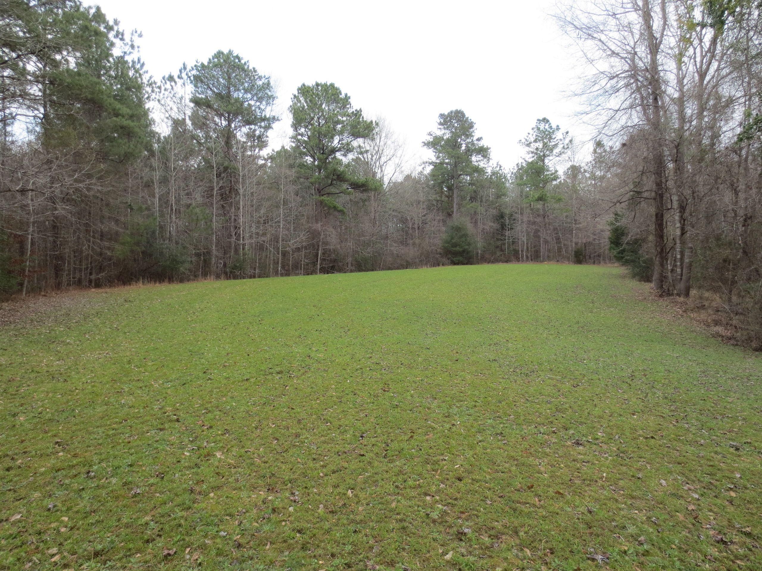Dummy Line Rd, Lot#WP001, Silver Creek, MS 39663 | Land.com