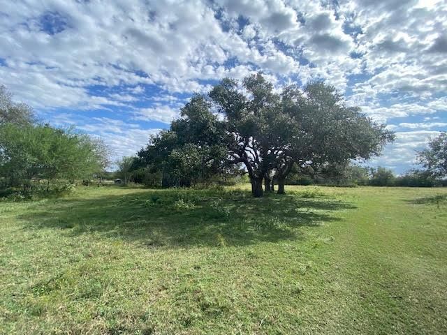 30 acres in Goliad County, Texas