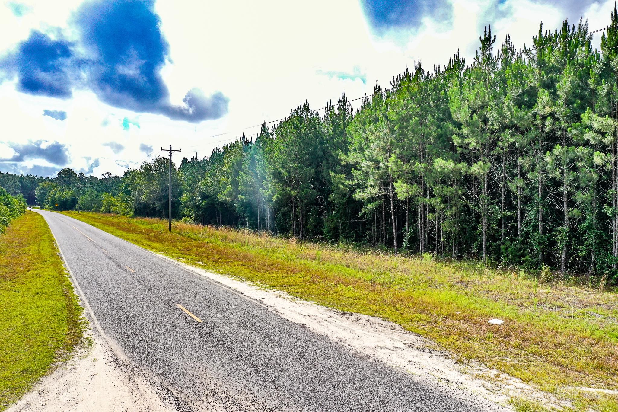 58 acres in Appling County, Georgia