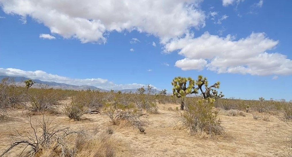 2.5 acres in Los Angeles County, California