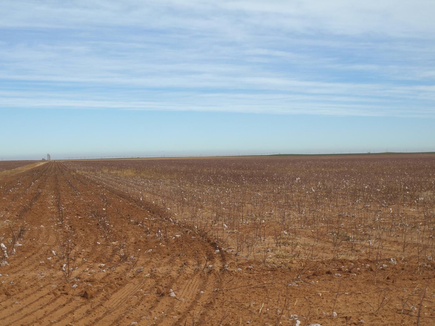 88.5 acres in Amherst, TX, 79312 | Land.com