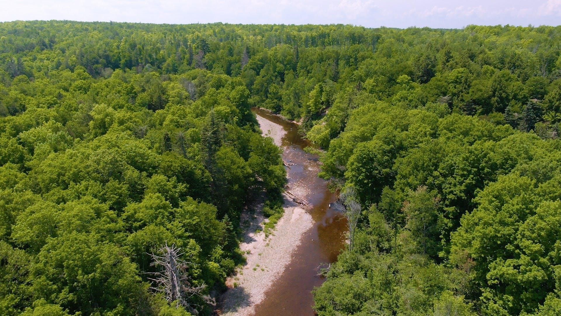 520 acres in Baraga County, Michigan