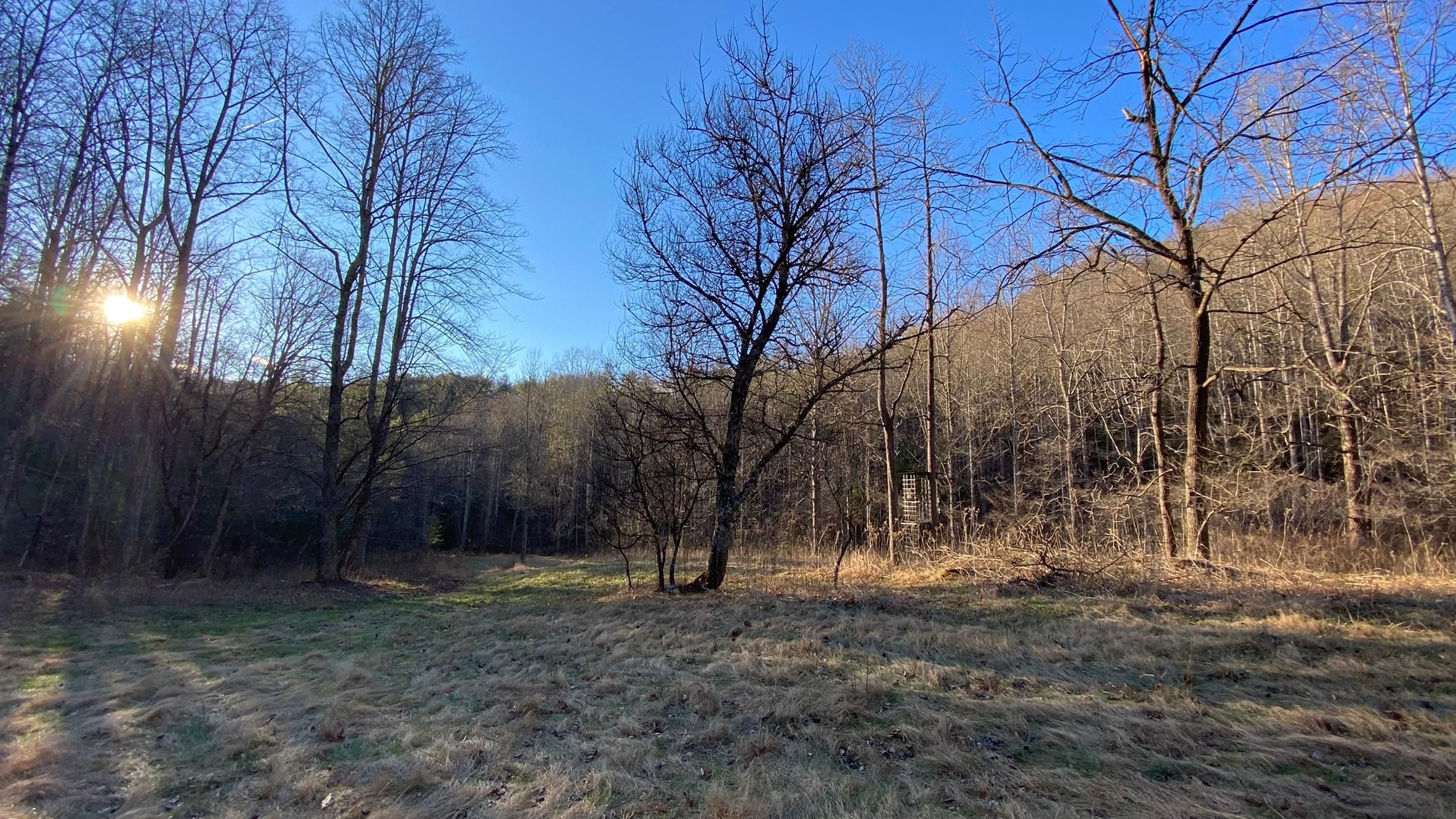 114.7 acres in Wilbar, NC, 28651 | MLS: 1051285 | Land.com