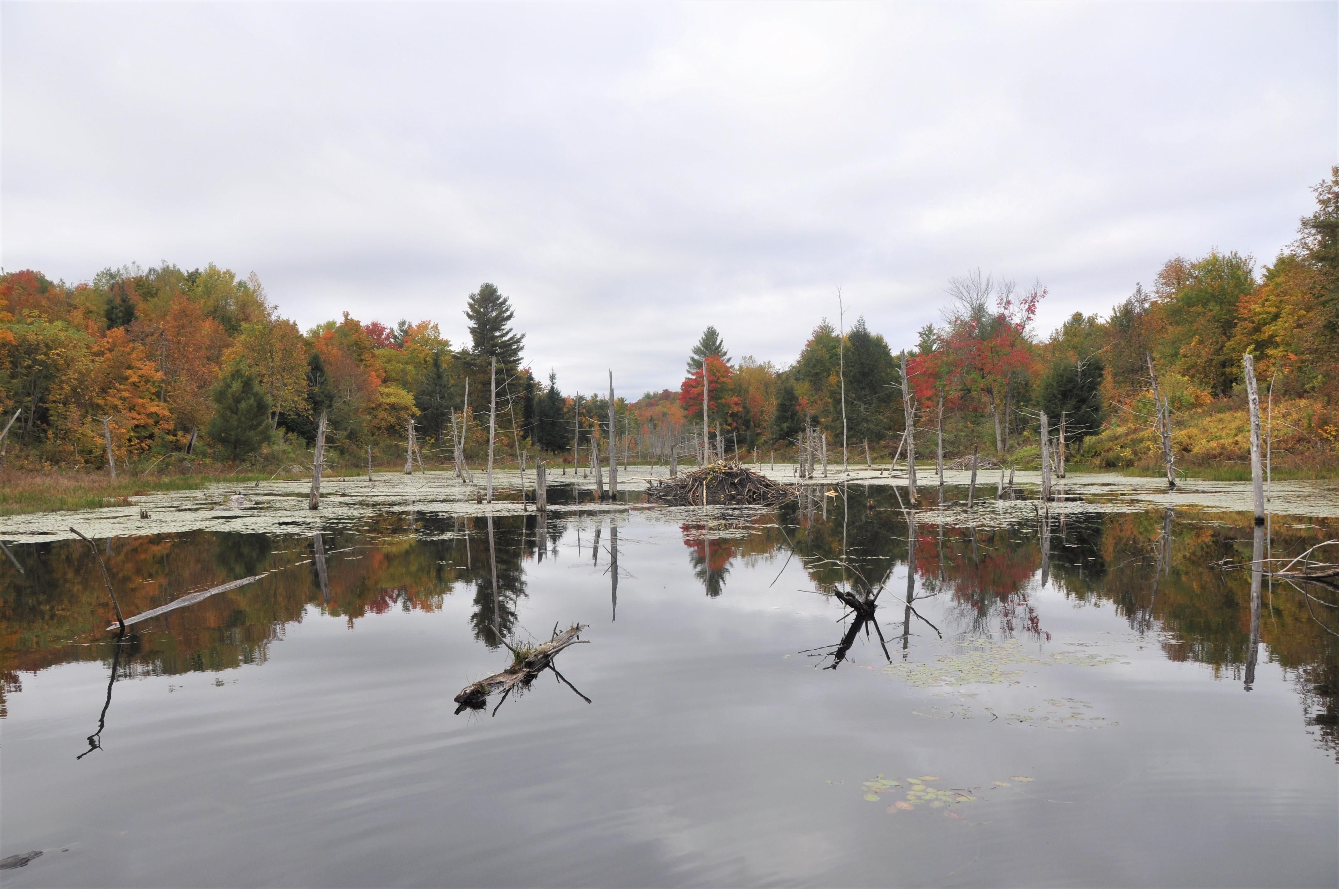 Beaver Pond Drive (locked gate must call to see), Edwards, NY 13635 ...
