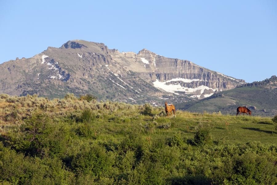 Starr Valley Road, Deeth, NV 89835 | Land.com