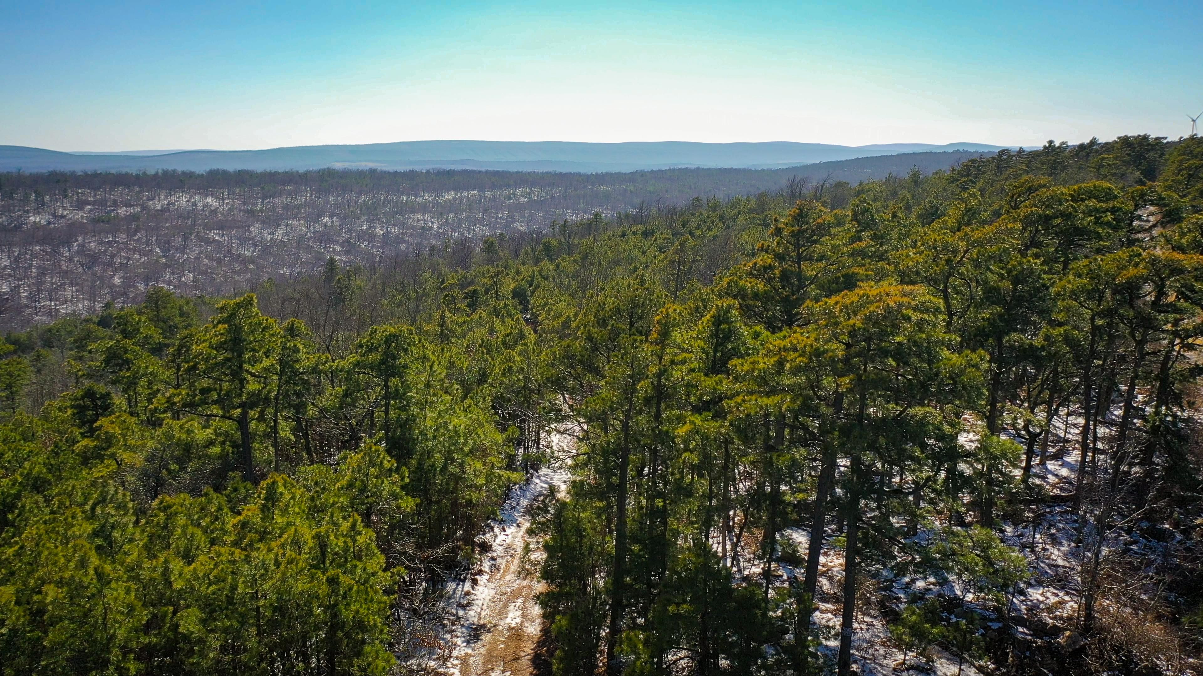 600 acres in Pushmataha County, Oklahoma