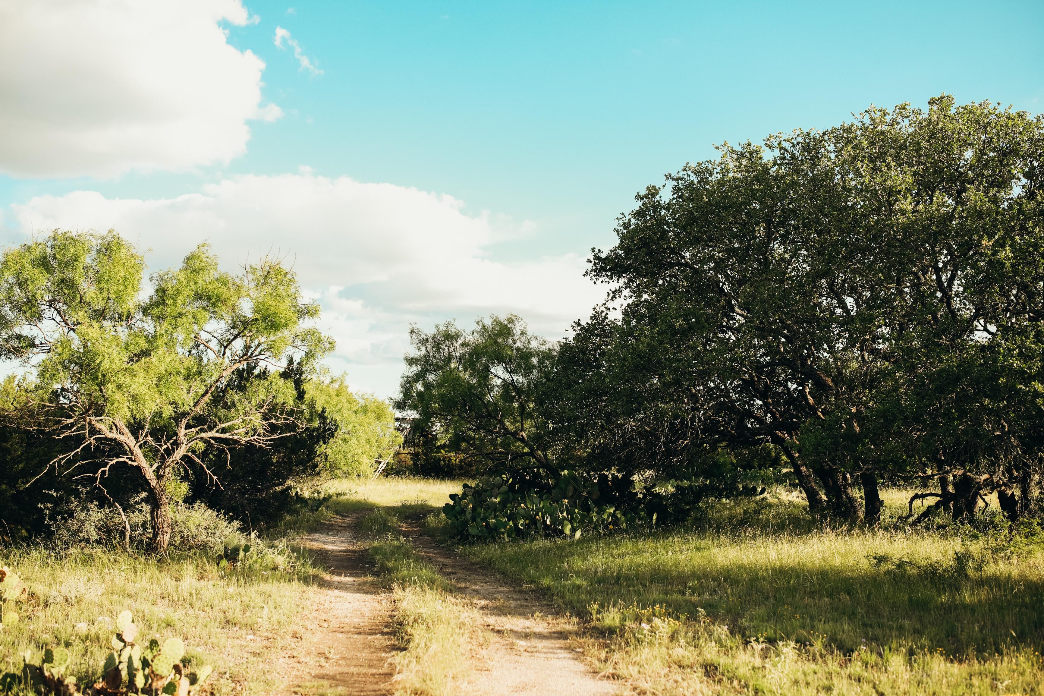 195 acres in Sutton County, Texas