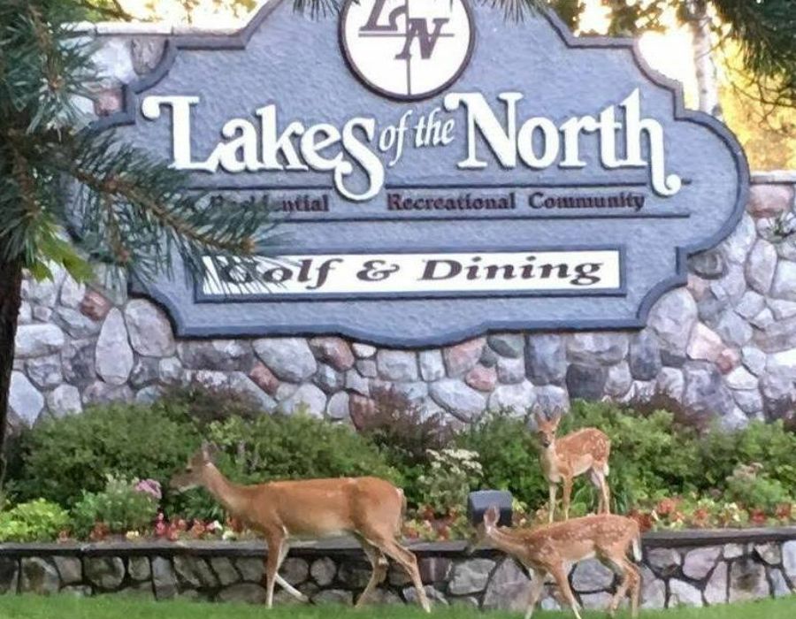 Lot 91, Lake of the North, Alba, MI 49611 | MLS: MI_ANTRIM_LAKENORTH ...