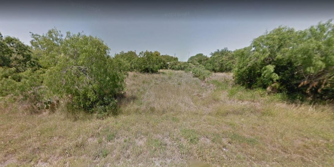 Blackhawk Dr, Sandia, TX 78383 | Land.com