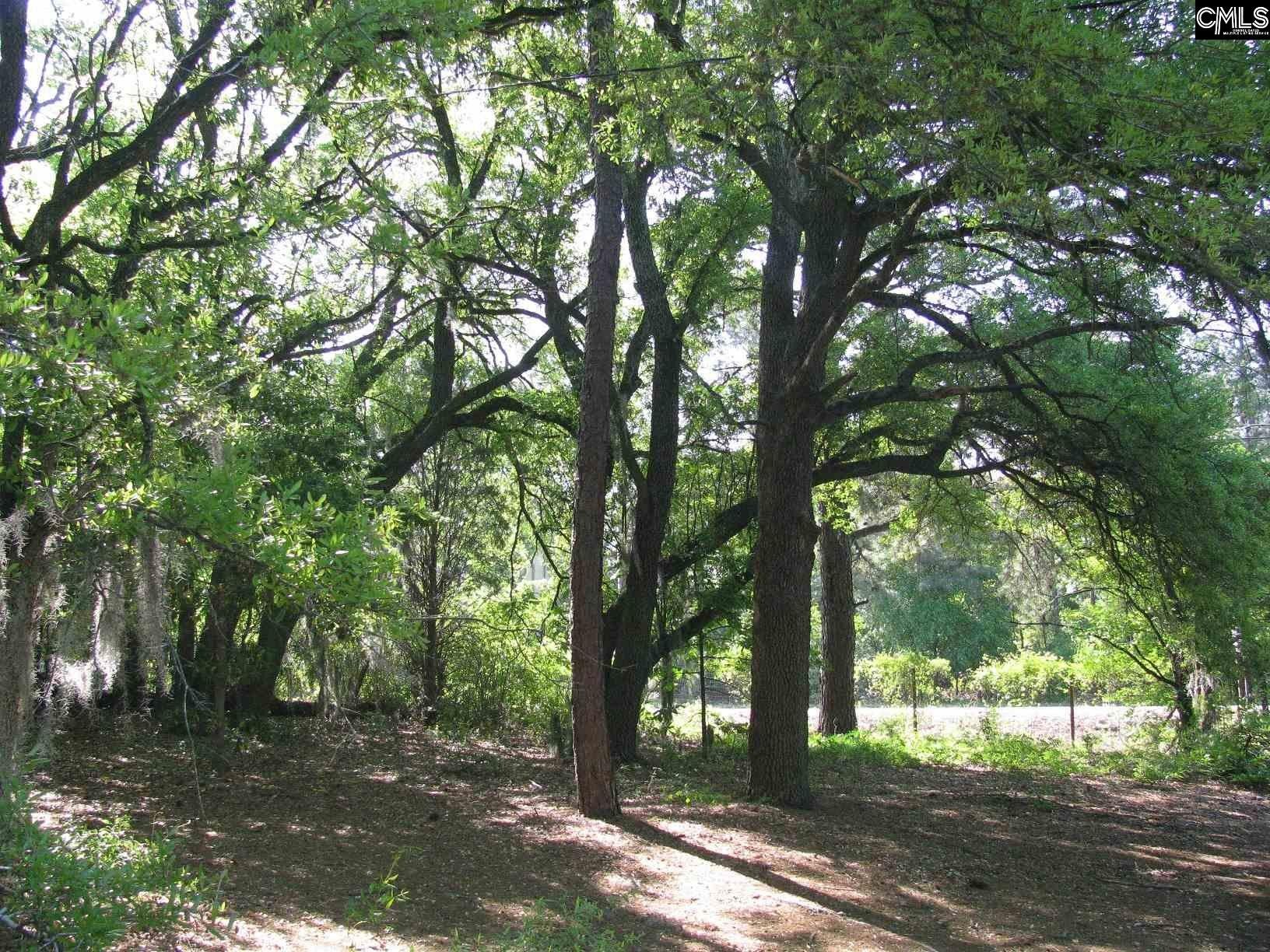 3640 Augusta Road, West Columbia, SC 29170 | MLS: 481175 | Land.com