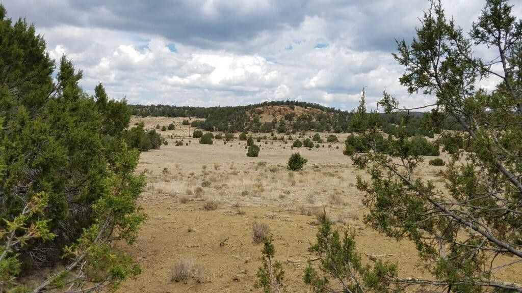 21 acres in Catron County, New Mexico