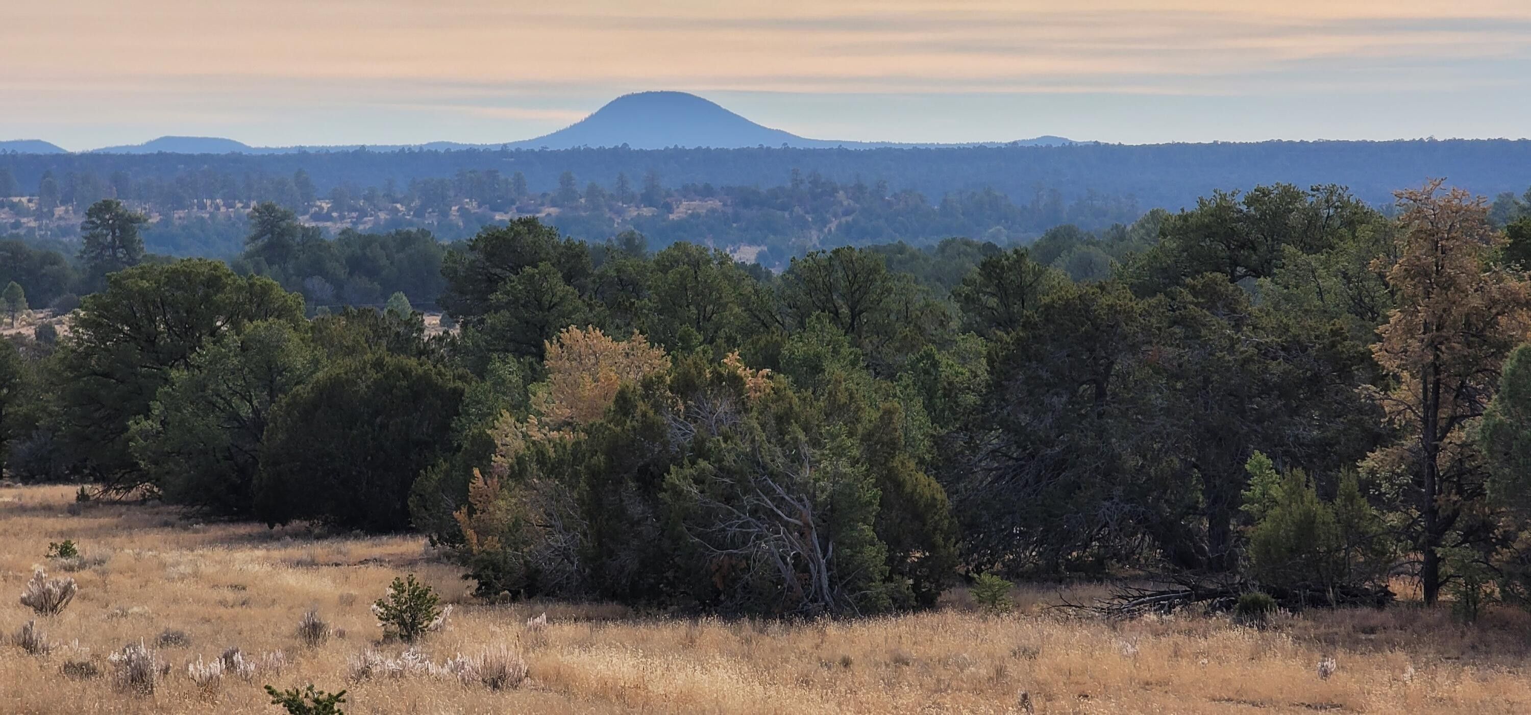 10 acres in Cibola County, New Mexico