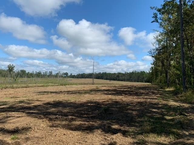 10 acres in Rankin County, Mississippi