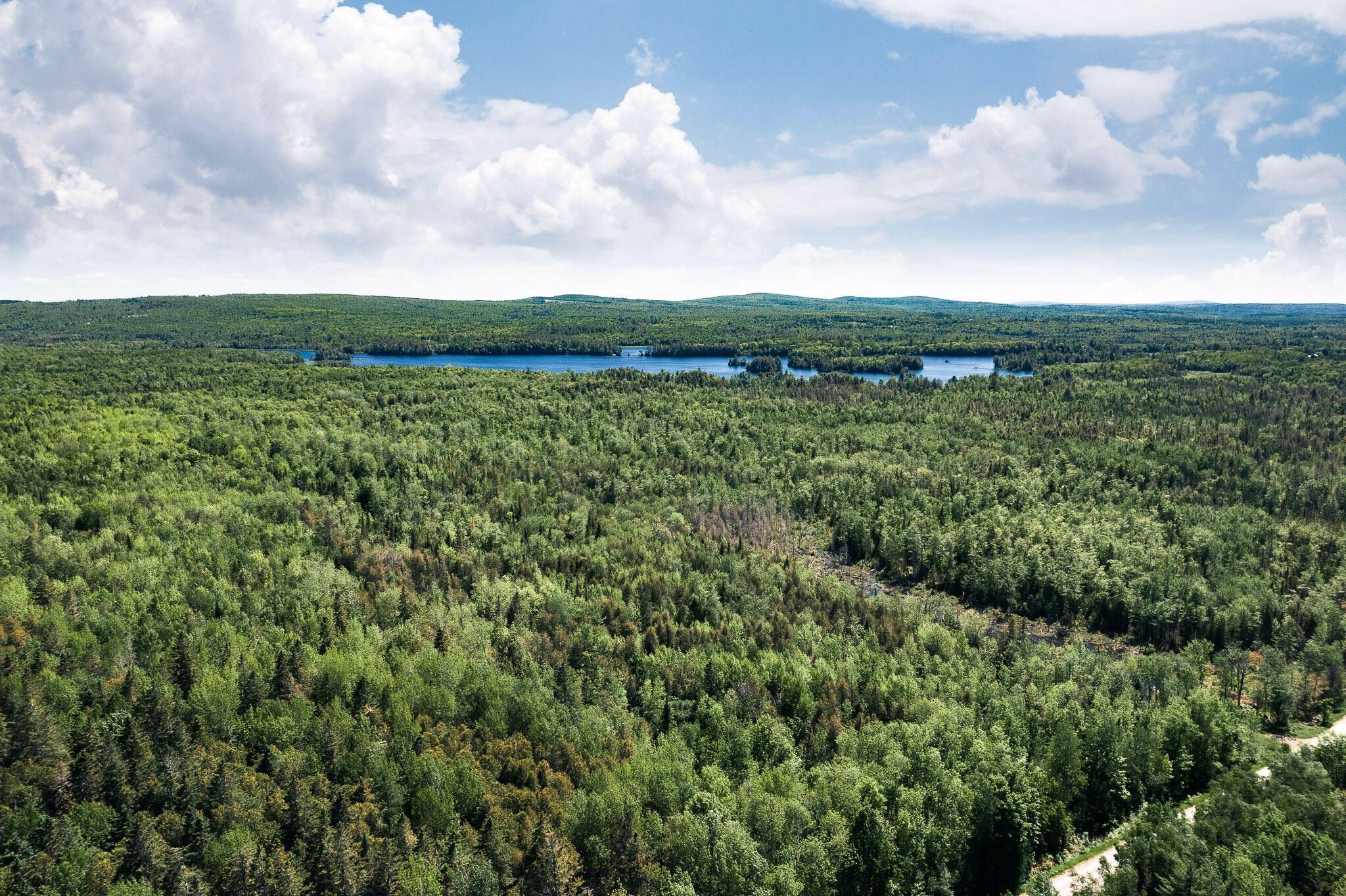 57 acres in Piscataquis County, Maine