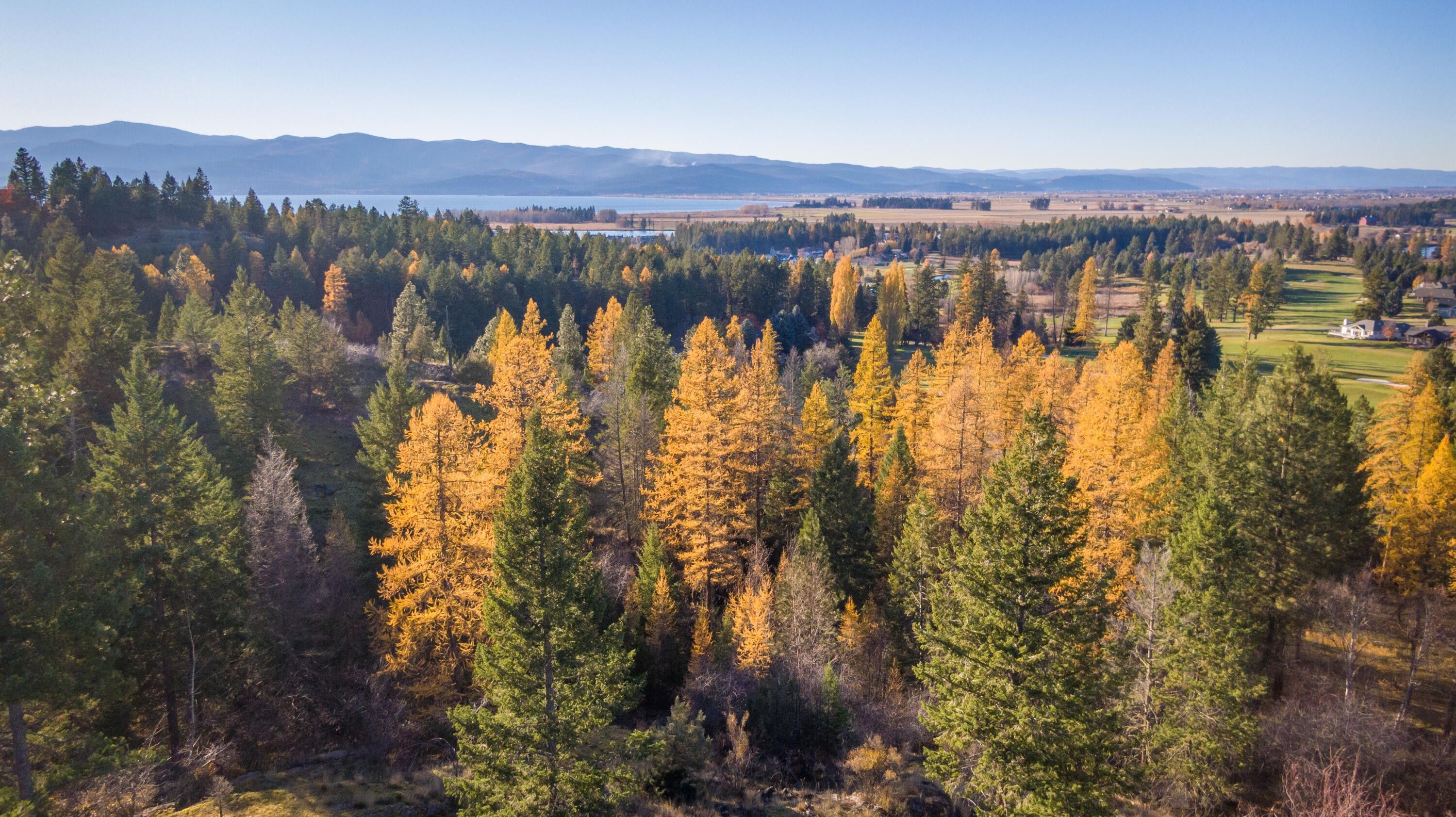 1.37 acres in Flathead County, Montana
