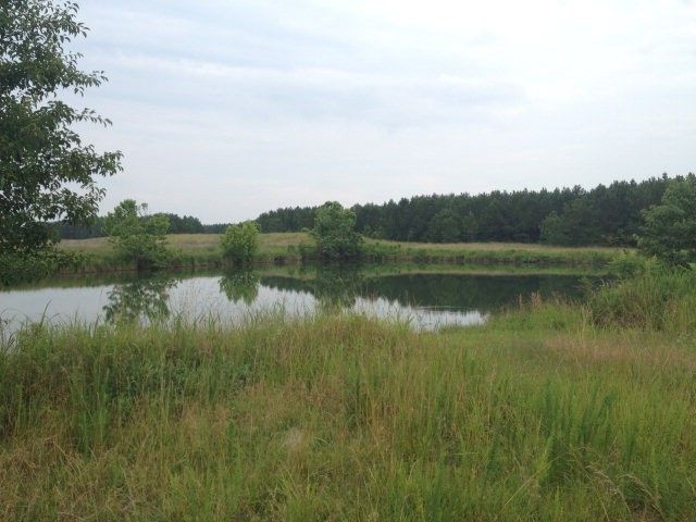 Commercial,Lots - Blue Springs, MS