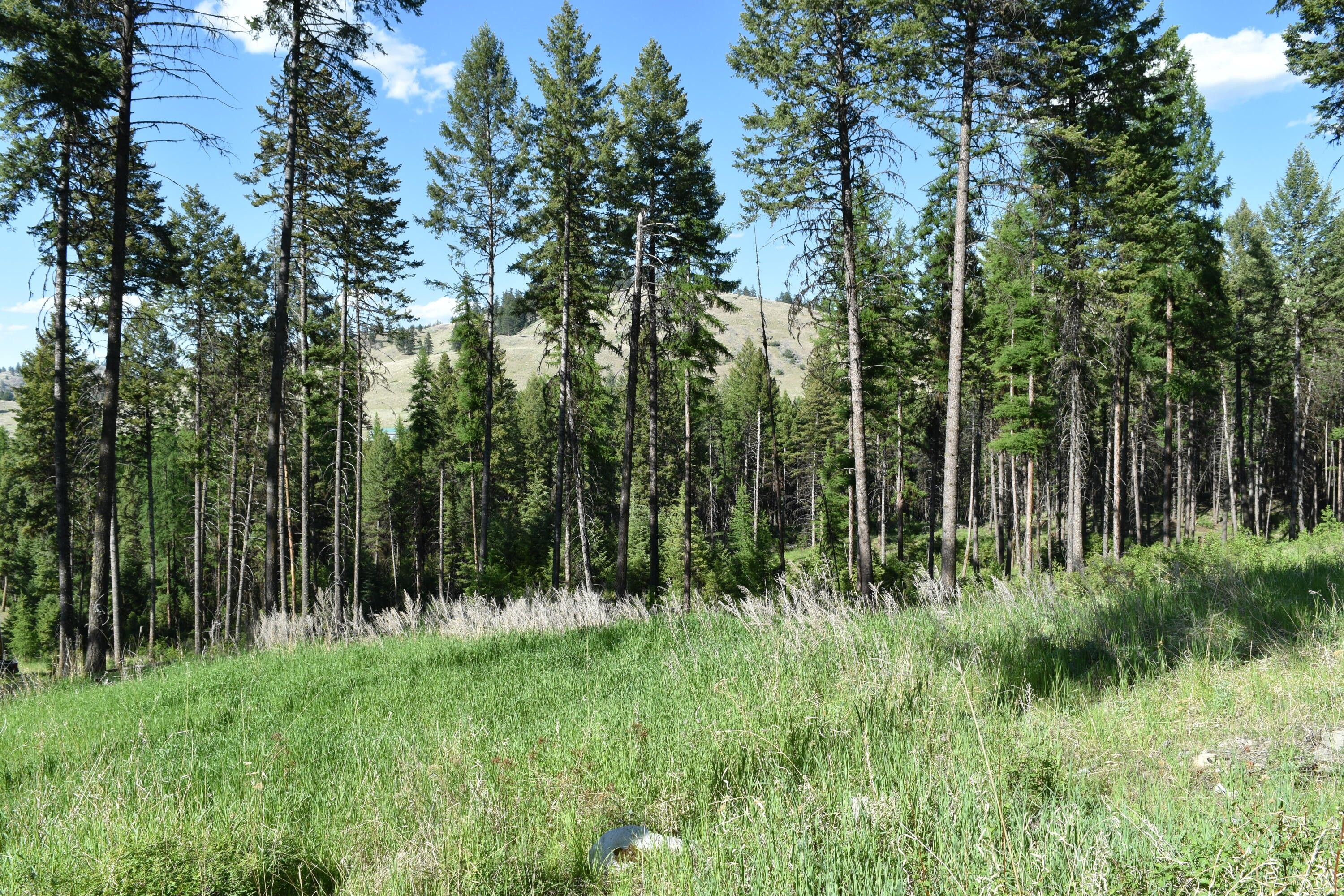 7 acres in Ferry County, Washington