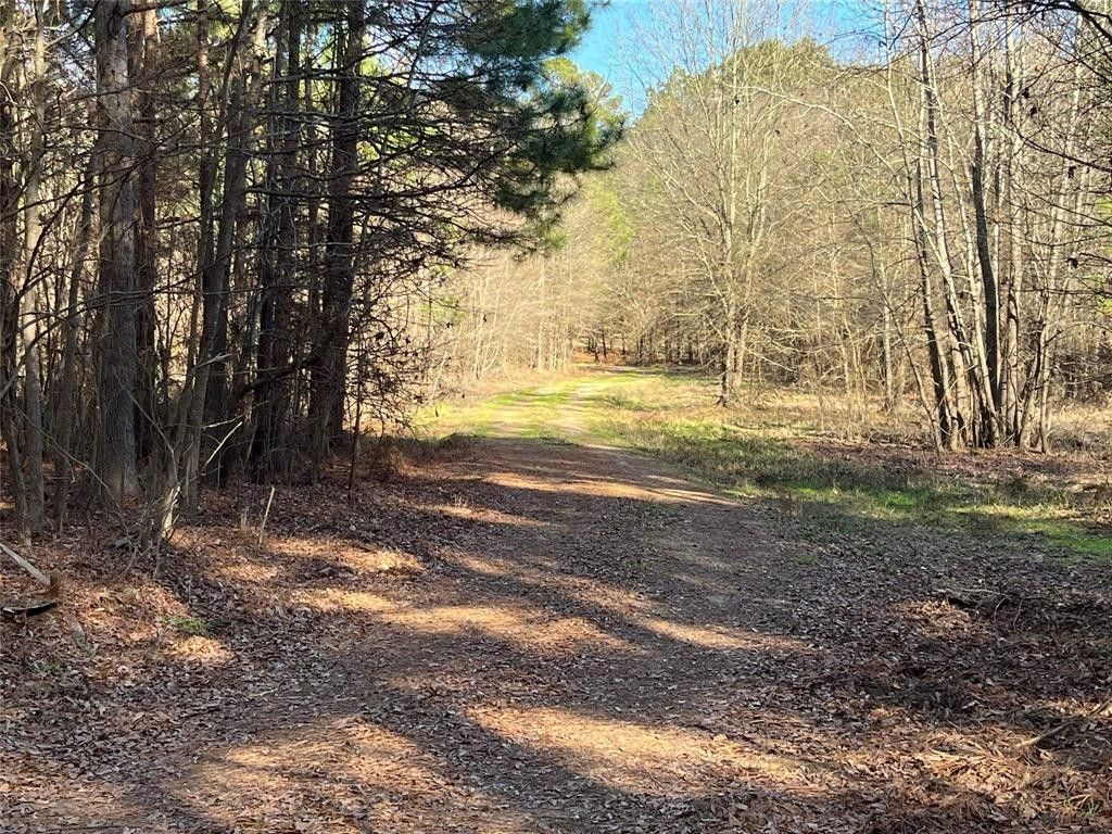 207 acres in Camp County, Texas